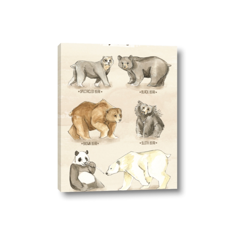 nextART. Bears Chart