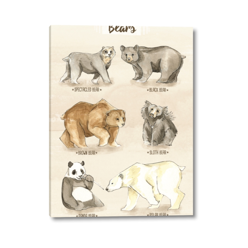 nextART. Bears Chart