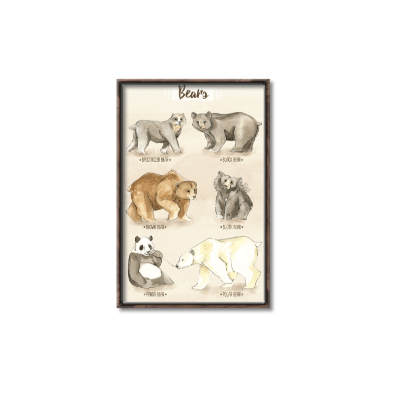 nextART. Bears Chart