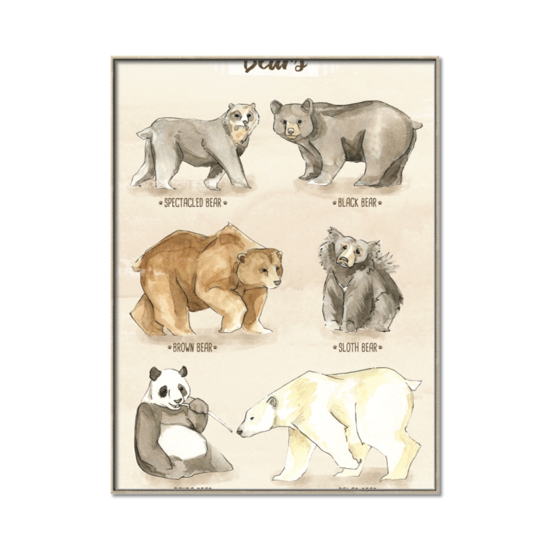 nextART. Bears Chart