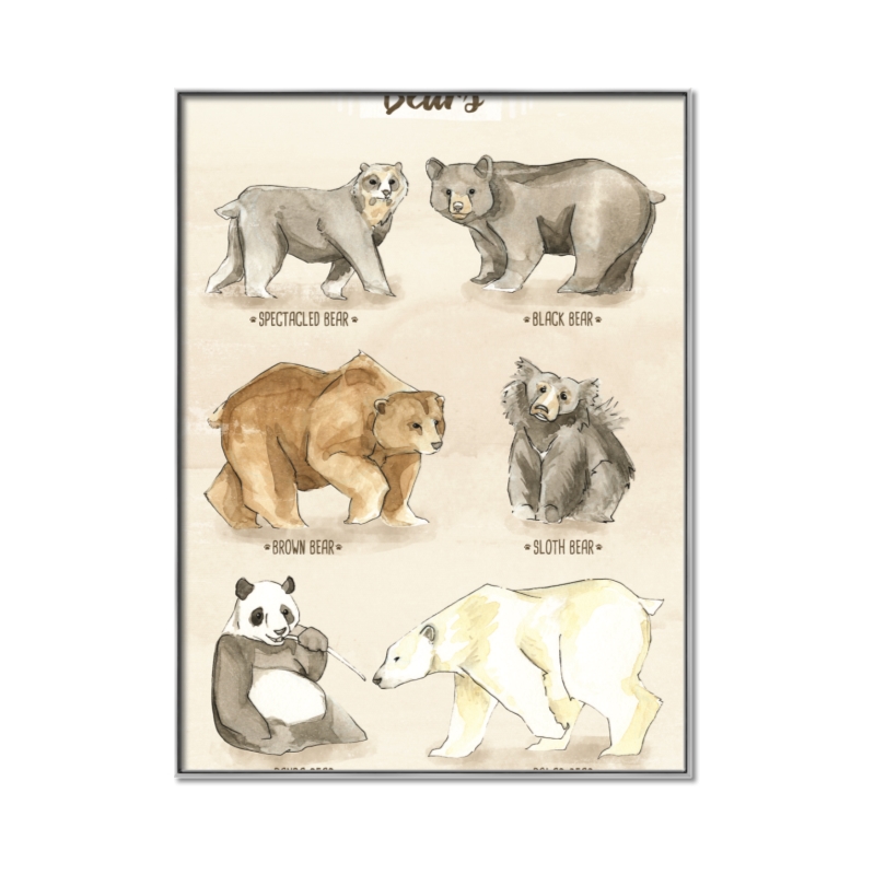nextART. Bears Chart
