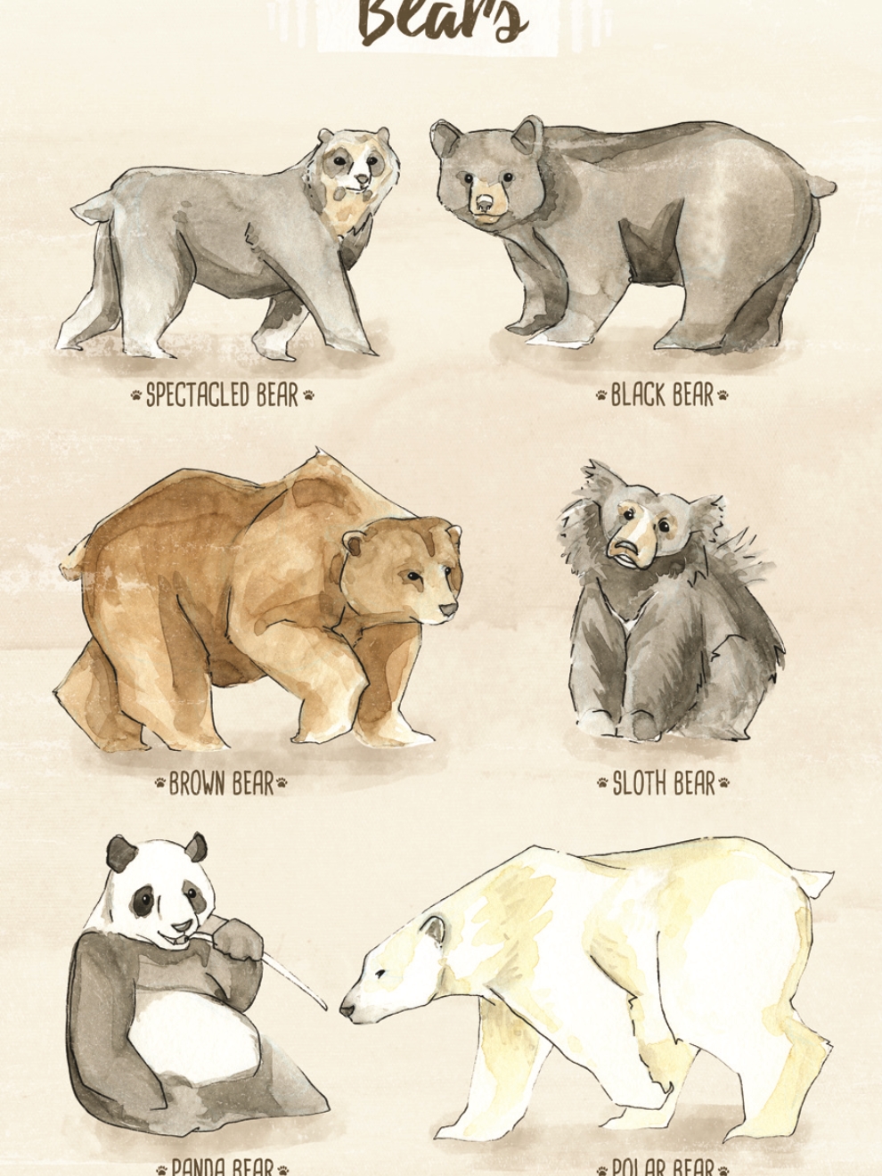 nextART. Bears Chart