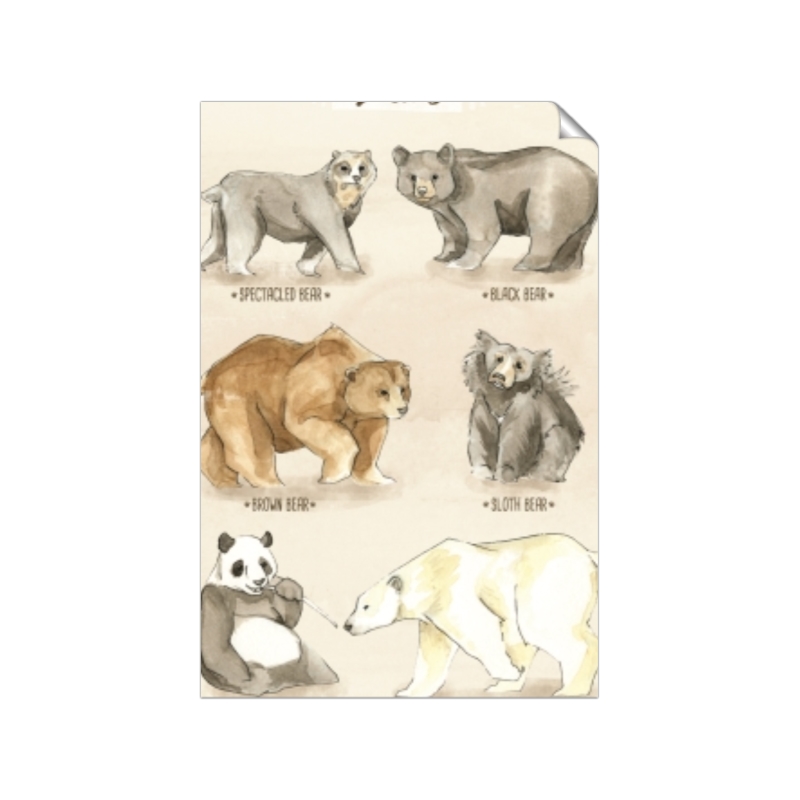 nextART. Bears Chart