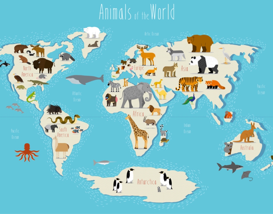 nextART. Animals Map of the World