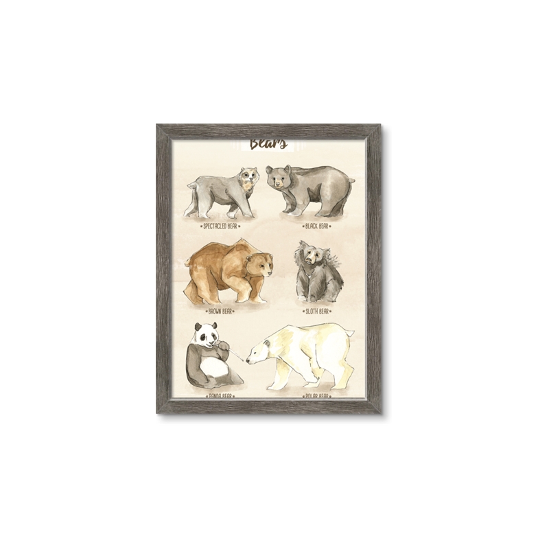 nextART. Bears Chart