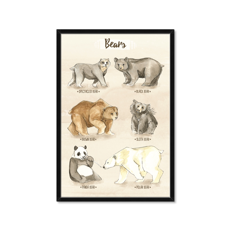 nextART. Bears Chart