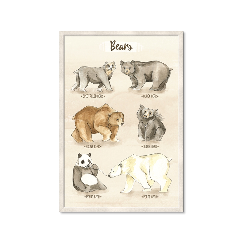 nextART. Bears Chart