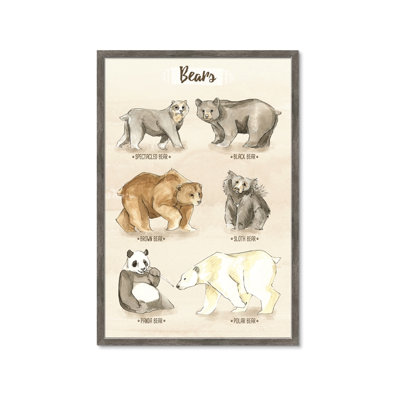nextART. Bears Chart