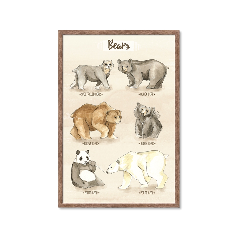 nextART. Bears Chart