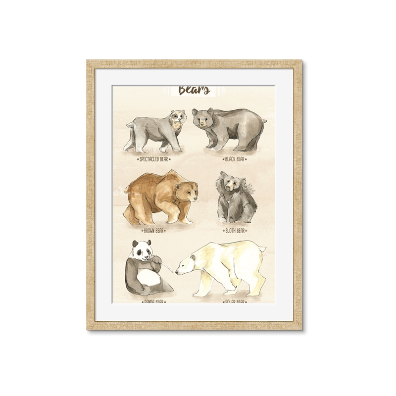 nextART. Bears Chart