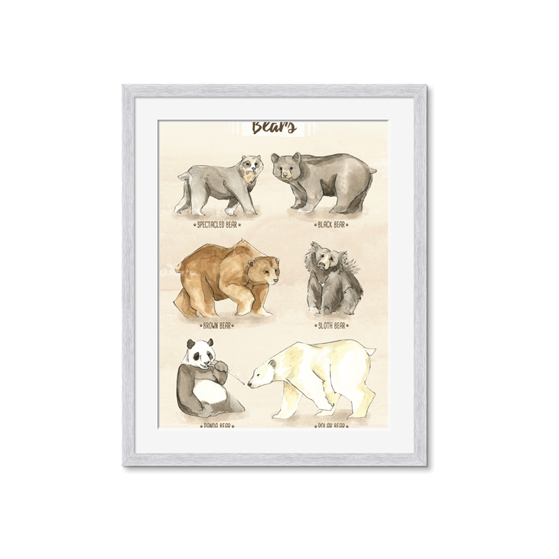 nextART. Bears Chart