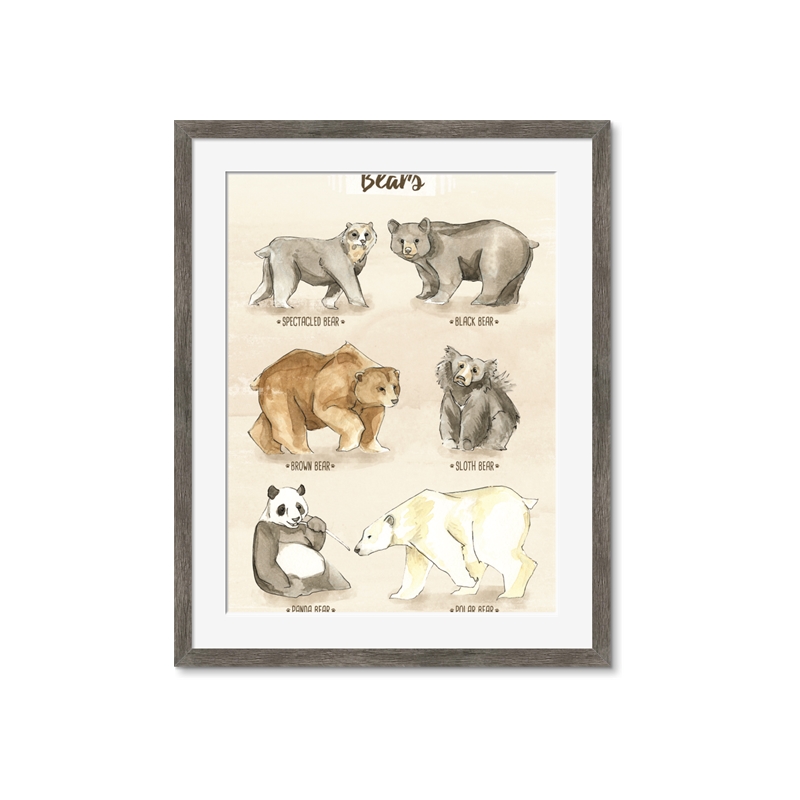 nextART. Bears Chart