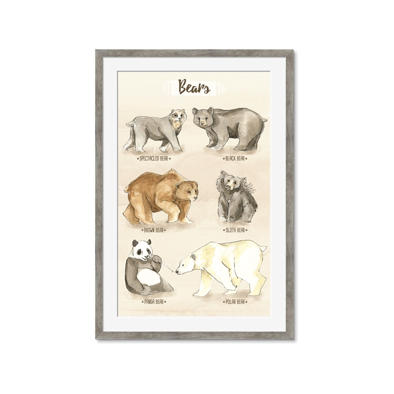 nextART. Bears Chart