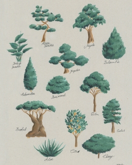nextART. Trees Chart