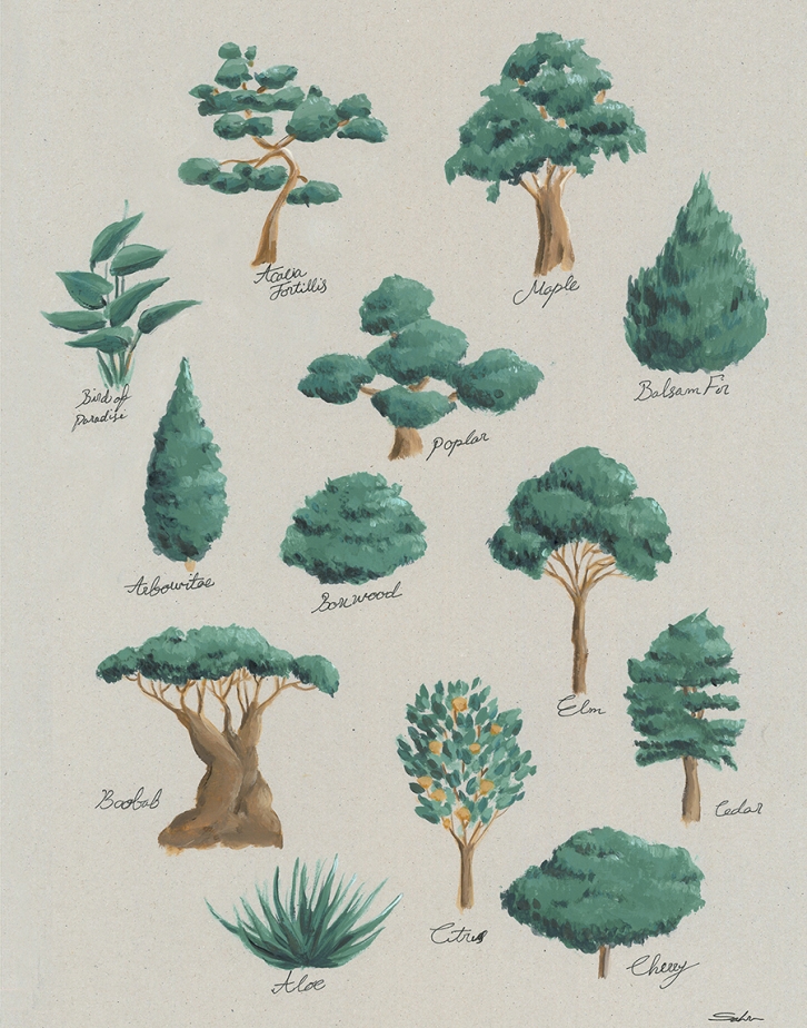 nextART. Trees Chart